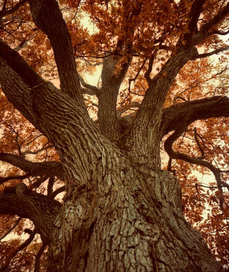 So When Exactly is the First Day of Fall? | TIME.com