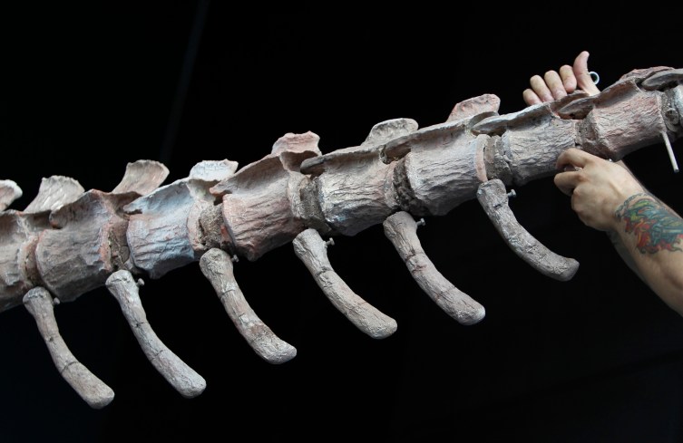 Freaky Fossil: Scientists Discover a Hunchback Dinosaur | TIME.com