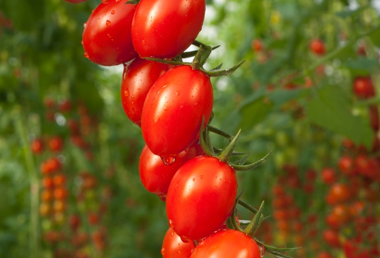 Wikipedia’s 10th Anniversary: 10 Unforgettable Entries | TIME.com