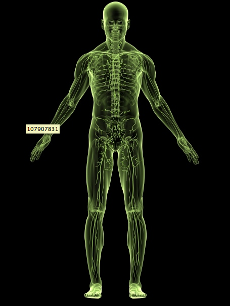 Best of the Week: Glowing Surgery, Confession Apps and Harry Baals ...