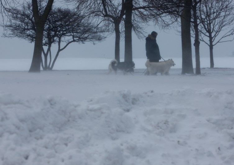 Insane Photos of An Absurd Blizzard: The Most Astonishing Snowpocalypse ...