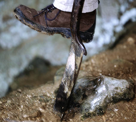 Ancient Human Bones Discovered in Florida Woman’s Backyard | TIME.com