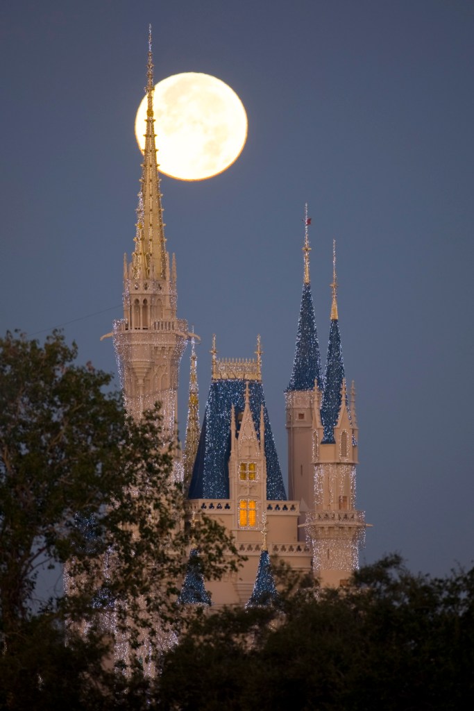 Fact or Fiction? Uncovering Five Disney World Urban Legends | TIME.com