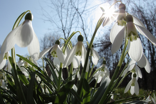 First Day of Spring 2012: Vernal Equinox Earliest Since 1896 | TIME.com