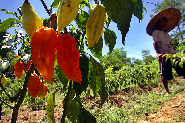 4. Assamese | Asia’s 5 Spiciest Cuisines | TIME.com