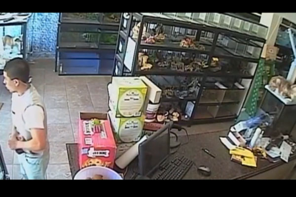 Thief Fails to Open Cash Register, Stuffs Puppy In His Pants Instead ...
