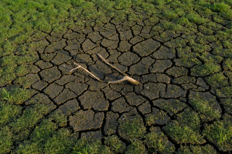 Photos: Drought Across Much of U.S. Leaves Crops Withered and ...