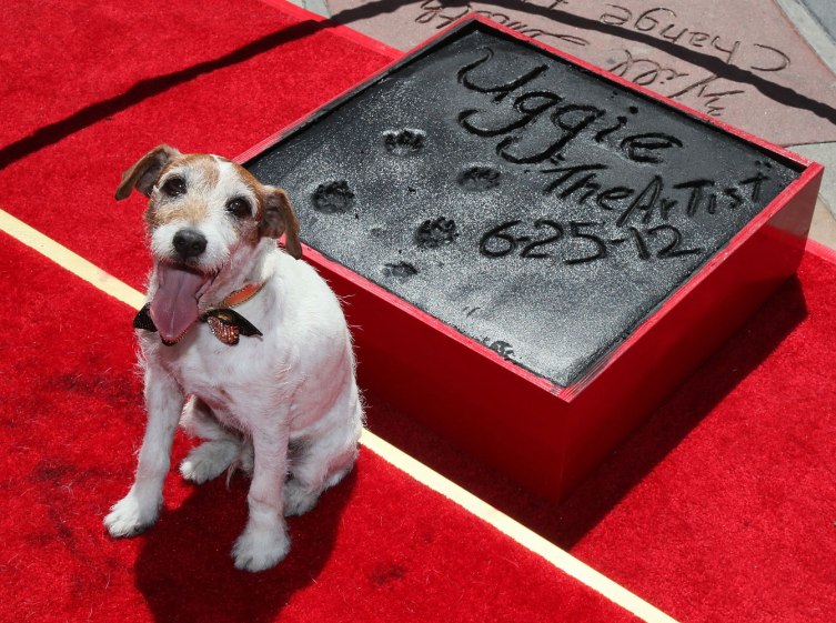 Uggie | News and Trends | TIME.com