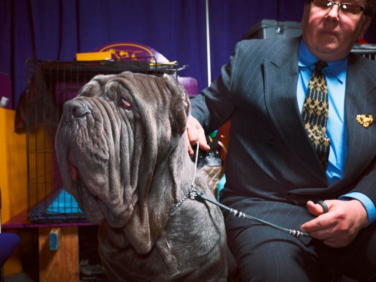 Pups on Parade: Behind the Scenes at the 2013 Westminster Dog Show ...