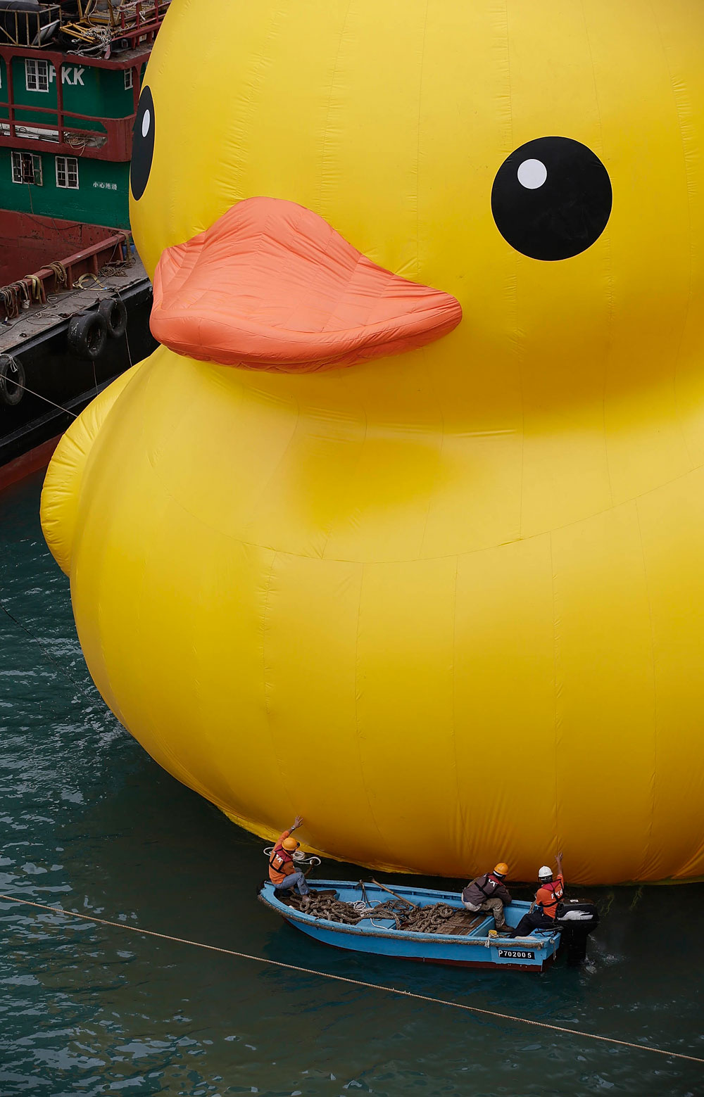 PHOTOS: Giant Rubber Duck Floats in Hong Kong Harbor | TIME.com