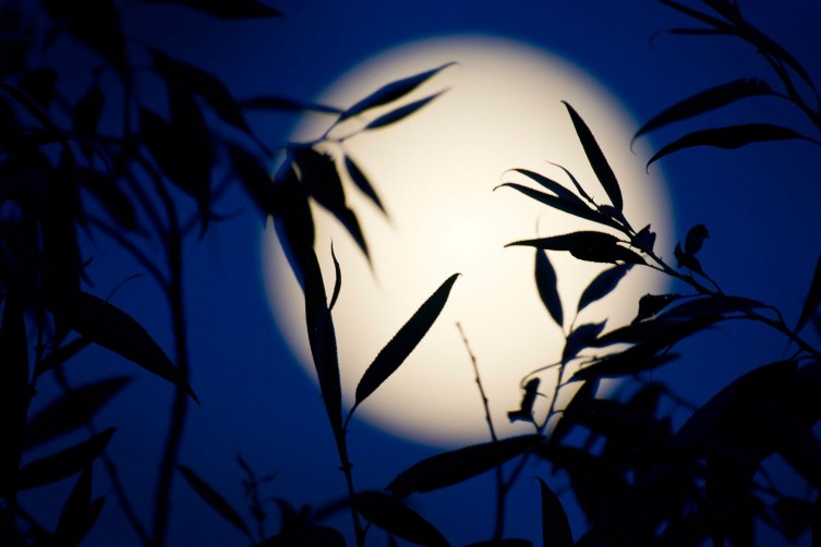 Supermoon Looms Large: The Year’s Biggest Full Moon Rises | TIME.com