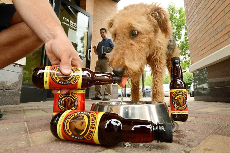 Beer | Dog Days of Summer: 9 Ways to Pamper Your Pup | TIME.com