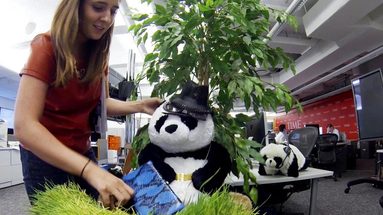 WATCH: Timelapse of InStyle Giving TIME’s Panda a Makeover | TIME.com