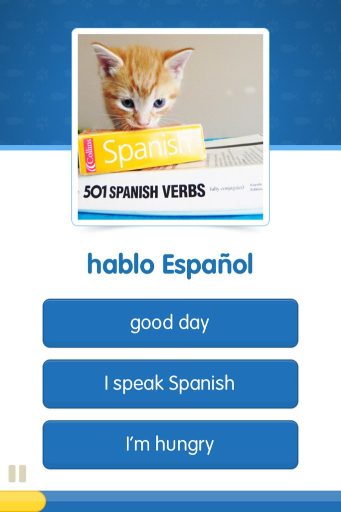 CatAcademy: Learn Spanish Using Cat Photos | TIME.com