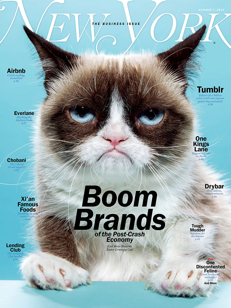 Grumpy Cat | The 11 Most Influential Animals of 2013 | TIME.com