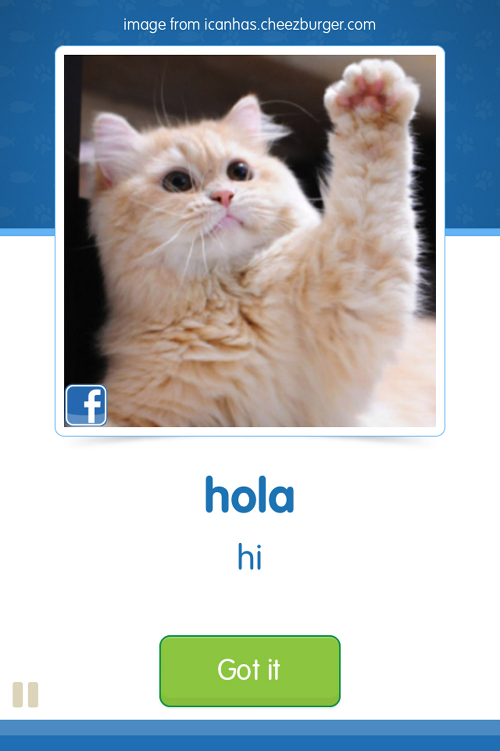 CatAcademy: Learn Spanish Using Cat Photos | TIME.com