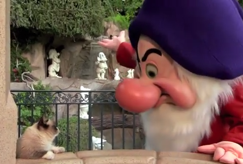 Grumpy Cat and Ridiculously Photogenic Guy Visit Disneyland | TIME.com